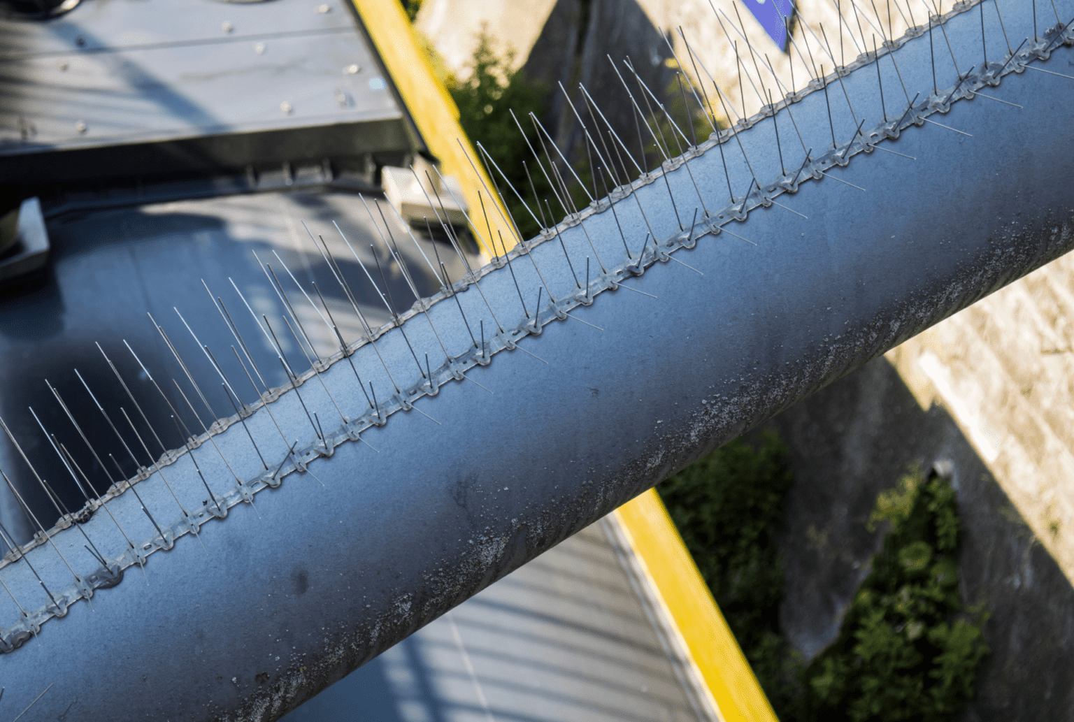 Bird Proofing Homes | Screen Tech Gutter Guard Suppliers