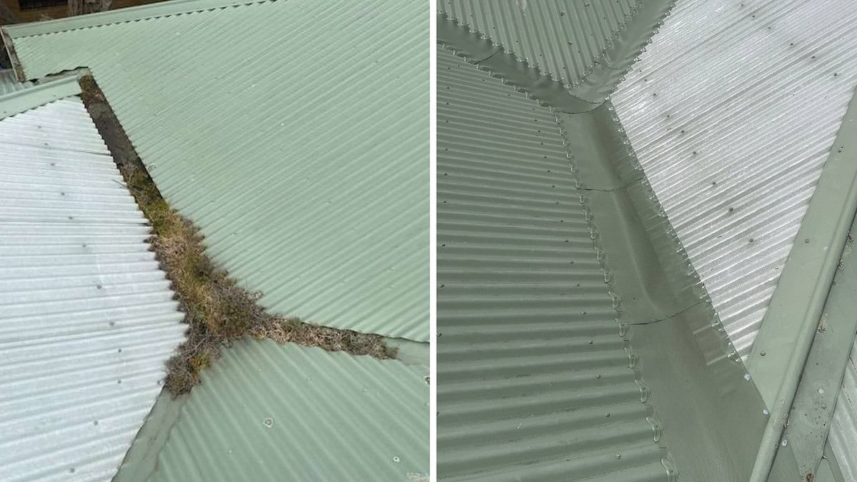Best Guard for Wattle Trees | Screen Tech Suppliers
